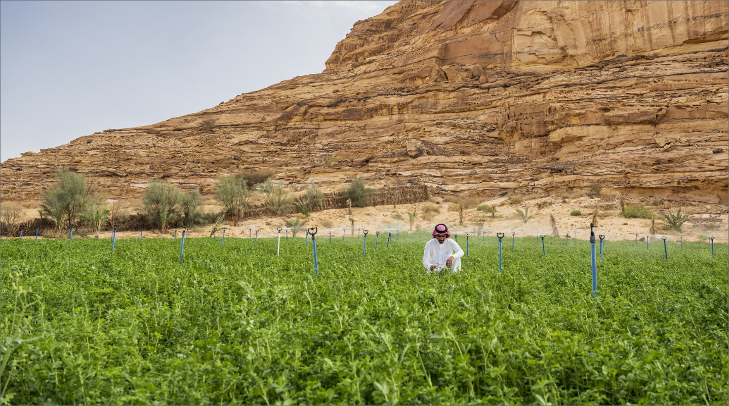 History | Al-Dabbagh Group